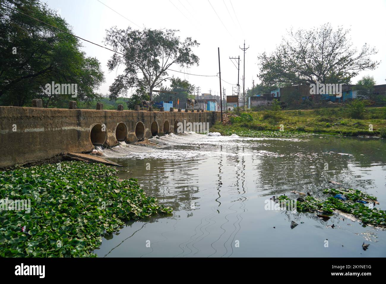 Pollution control day, polluted sewage water coming through cemented ...