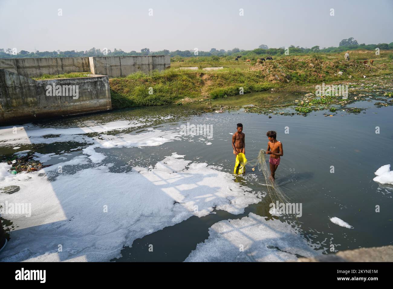 Two boys Catching fish with fishnet in indian sewer, water pollution ...