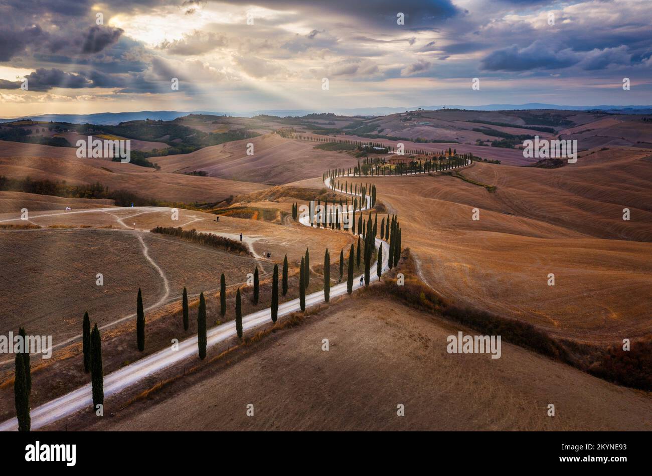 Hills, olive gardens and small vineyard under rays of morning sun ...