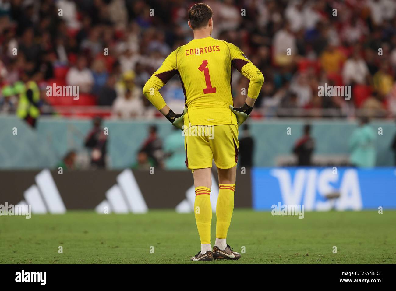Doha, Qatar, 01/12/2022, Belgium's goalkeeper Thibaut Courtois shows ...