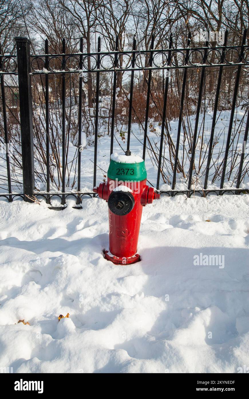Red fire hydrant in snow hi-res stock photography and images - Alamy