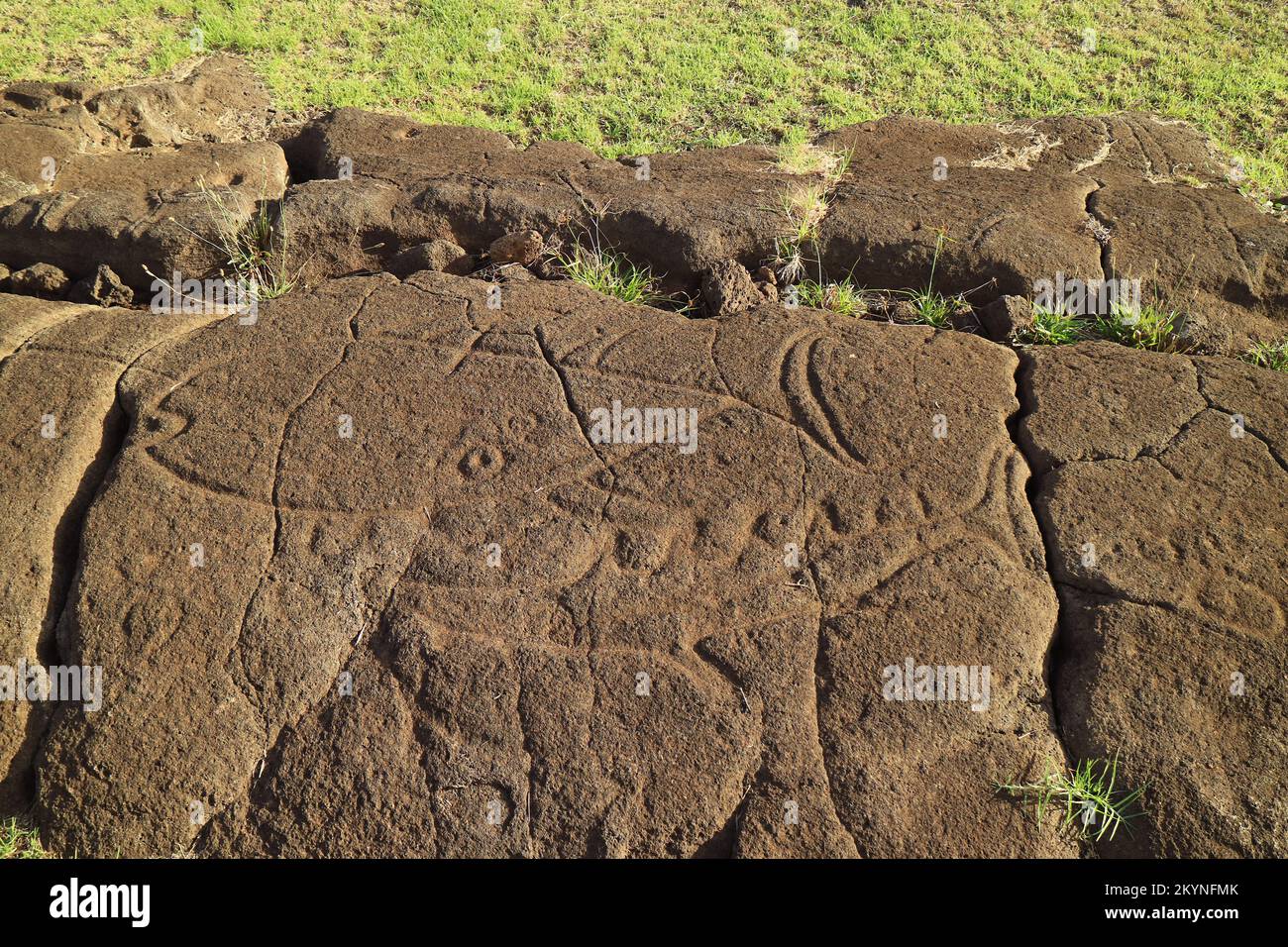 Papa Mango Ancient Petrogryphs of Tuna and Shark at Papa Vaka ...