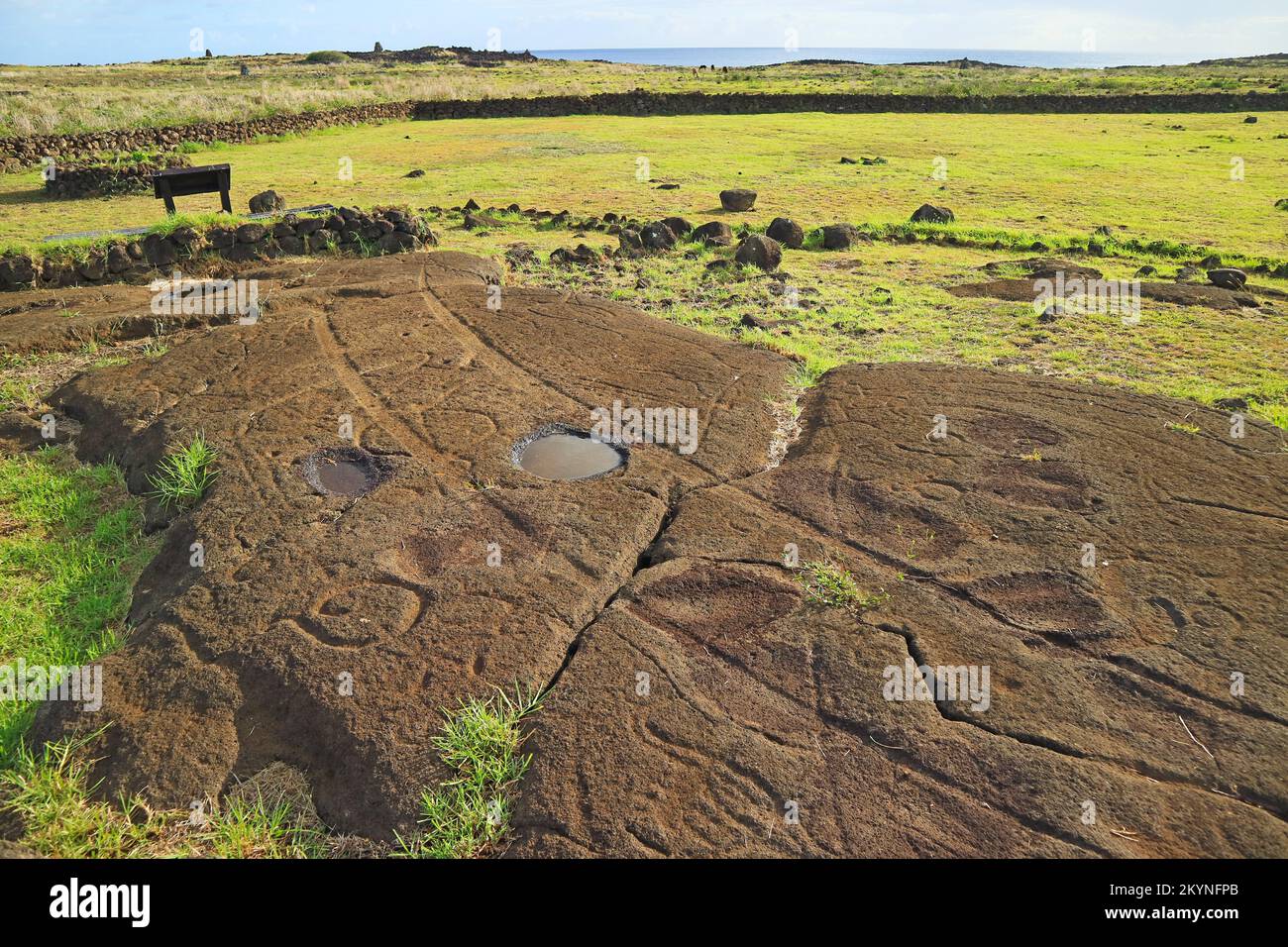 Amazing Ancient Petrogryphs at Papa Vaka Archaeological Site on Easter ...