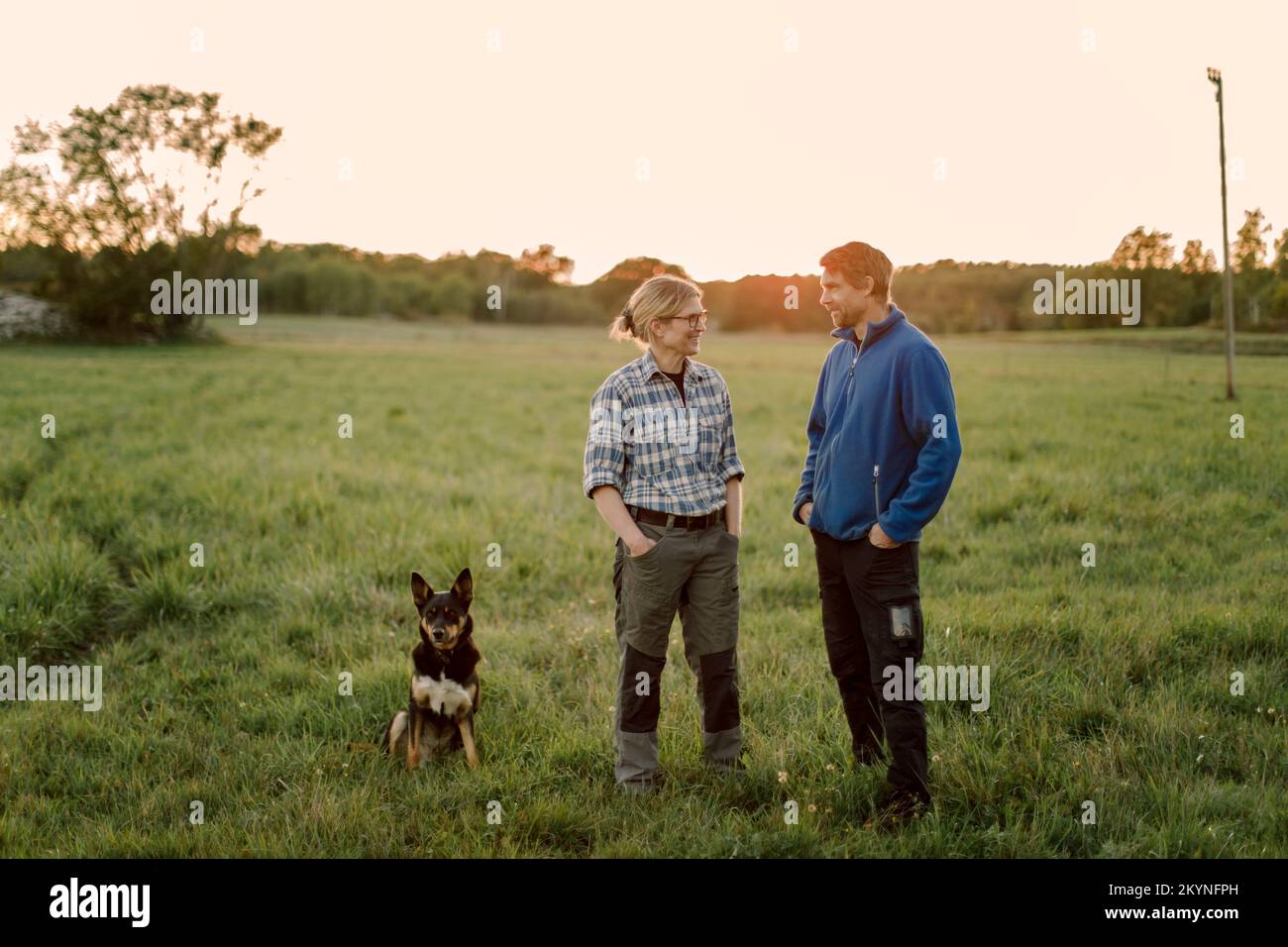 Happy mature couple with dog sitting on field during sunset Stock Photo ...