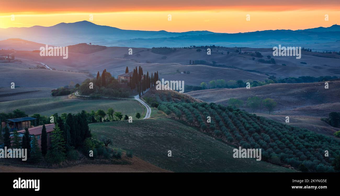 Well known Tuscany landscape with grain fields, cypress trees and ...