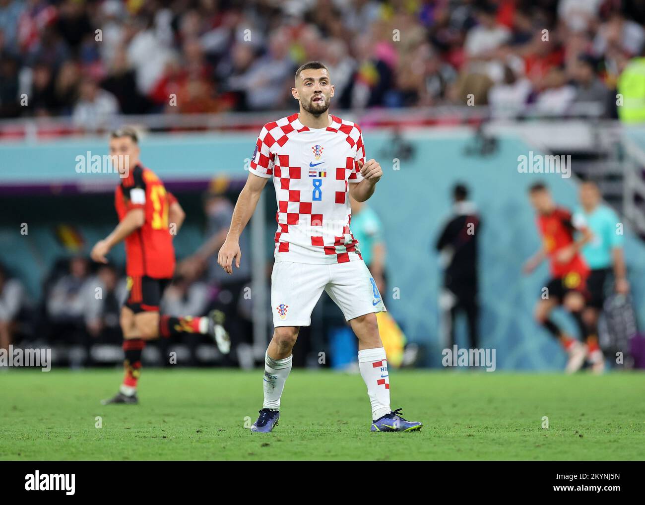 1st December 2022; Ahmed bin Ali Stadium, Al Rayyan, Qatar; FIFA World ...