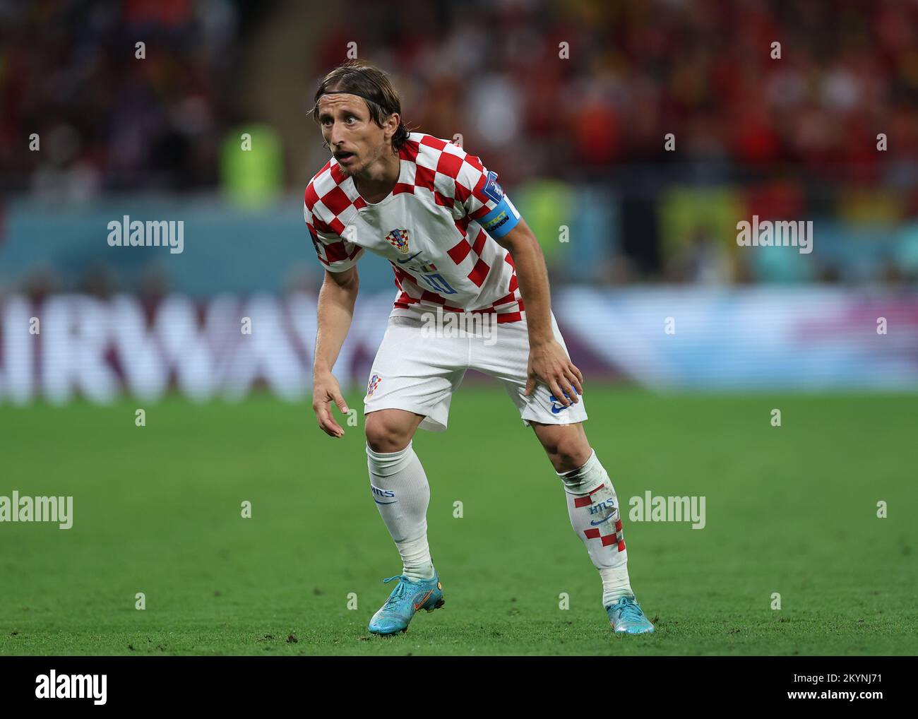 1st December 2022; Ahmed bin Ali Stadium, Al Rayyan, Qatar; FIFA World ...