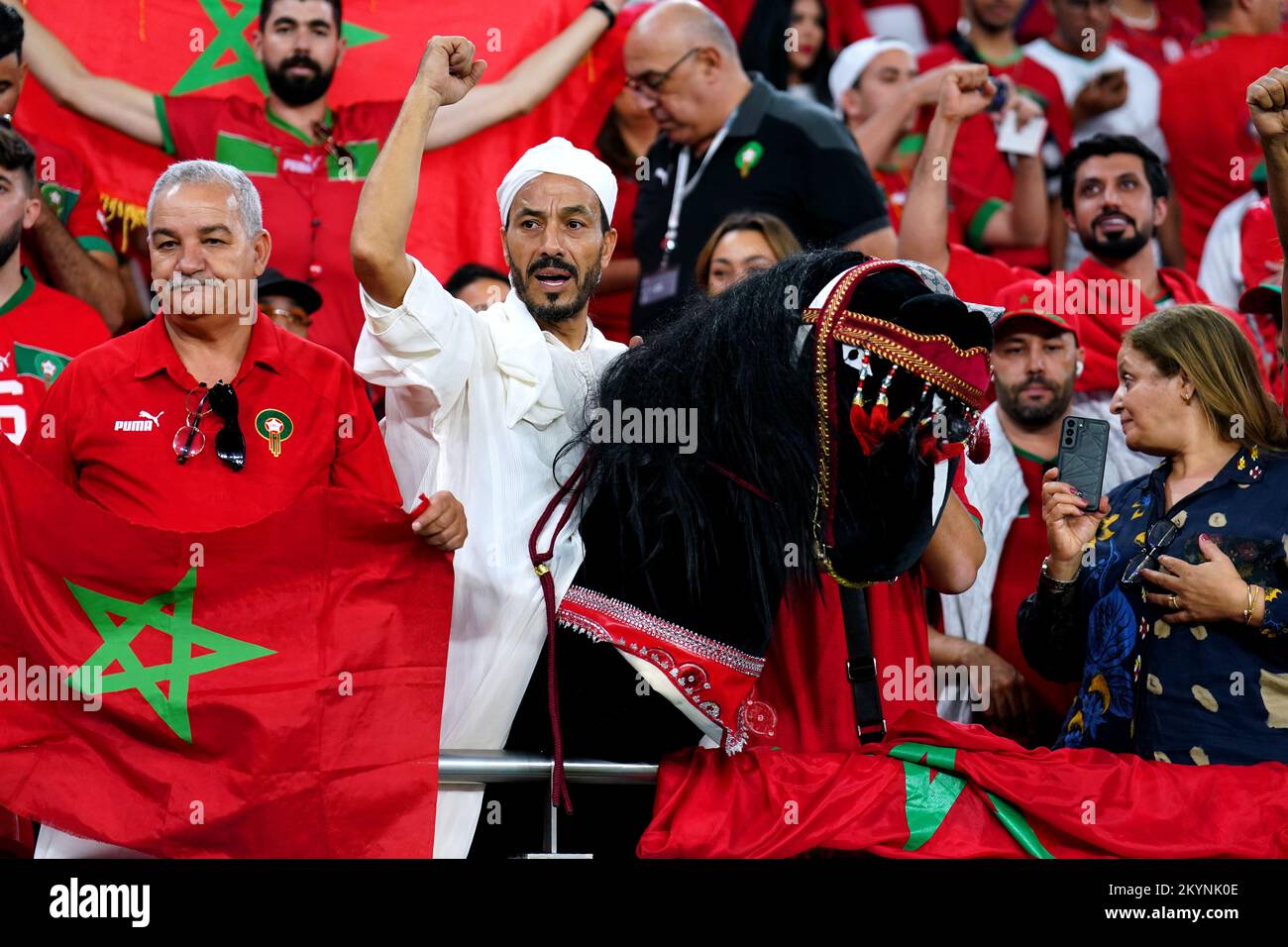 Morocco fans in the stands ahead of the FIFA World Cup Group F match at the Al Thumama Stadium ...
