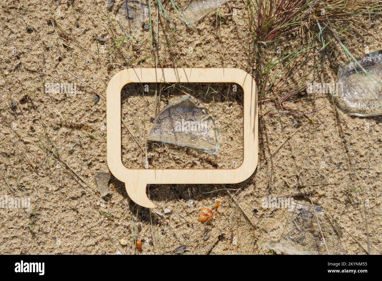 Ecology concept. Wooden frame - a pointer, inside which a shard of ...