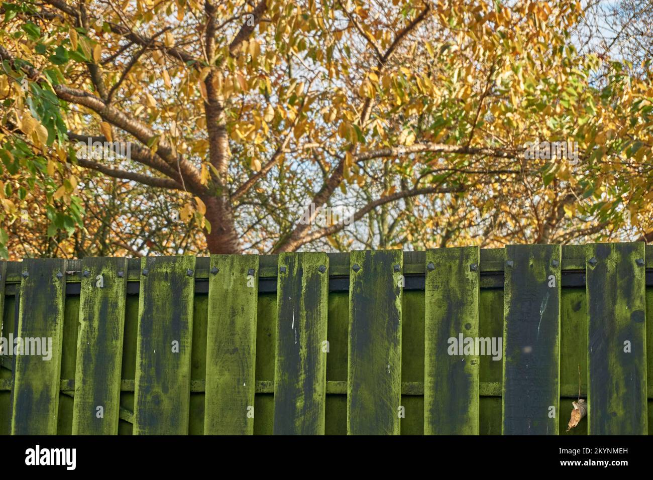 Concept garden fence hi-res stock photography and images - Alamy