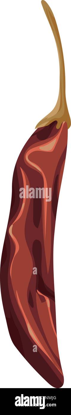dry chili pepper Stock Vector Image & Art - Alamy