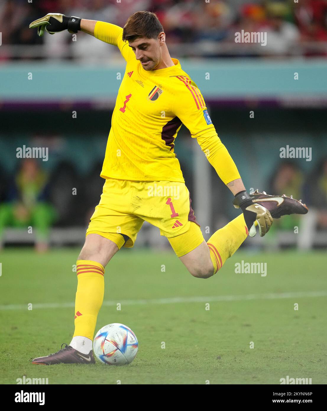 Belgium goalkeeper Thibaut Courtois during the FIFA World Cup Group F ...