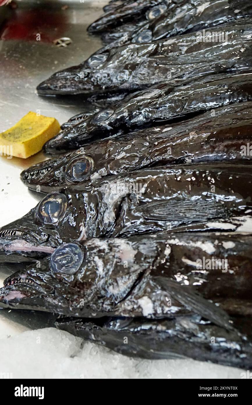 fresh fish from the traditional market in funchal, madeira Stock Photo ...