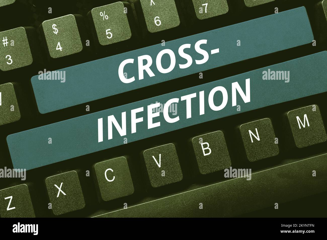 Text sign showing Cross Infection. Internet Concept disease-causing ...