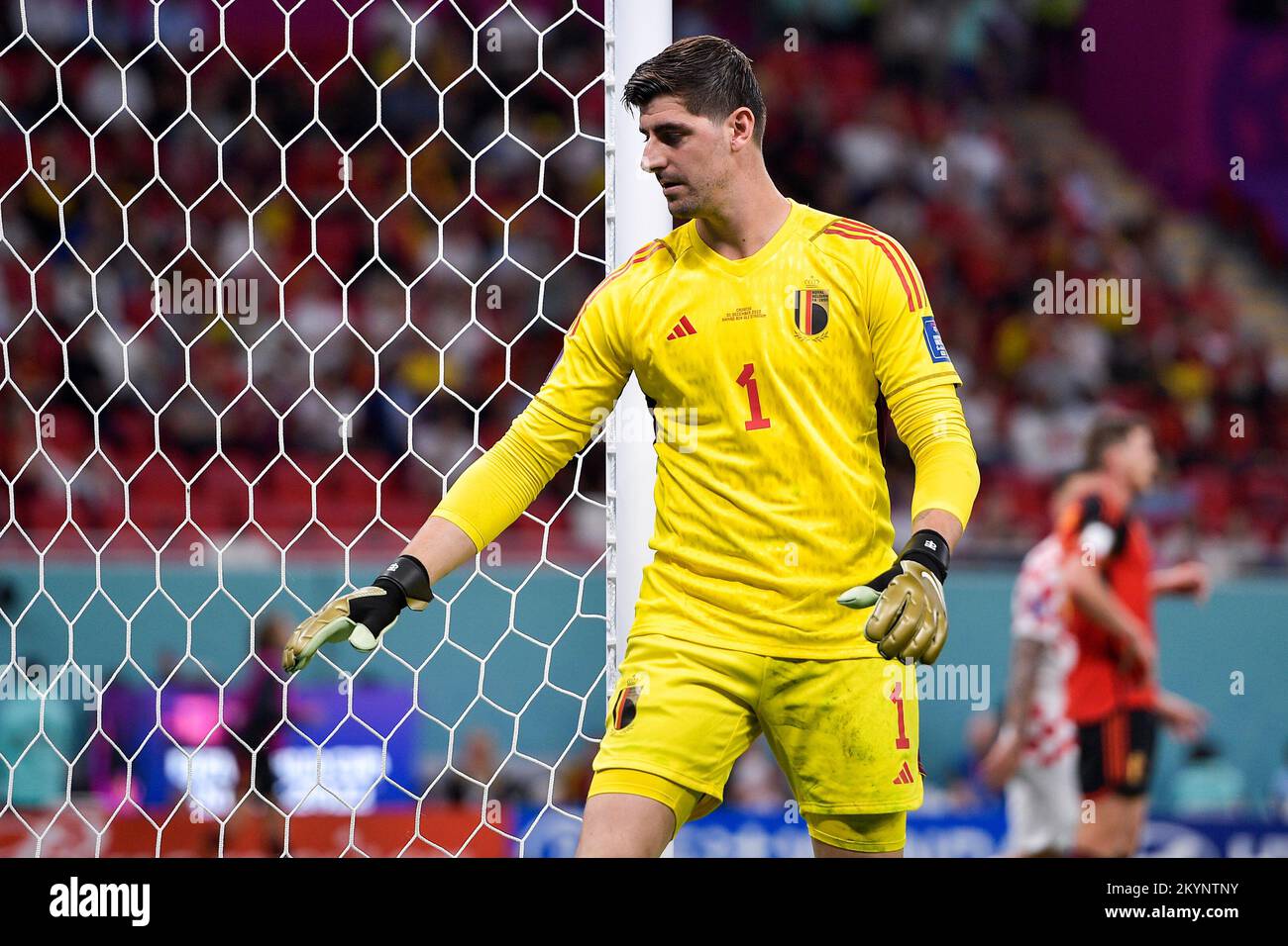 DOHA, QATAR - DECEMBER 1: Thibaut Courtois of Belgium in action during ...