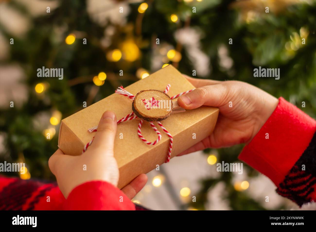 Christmas eco-friendly gift wrapping concept, zero waste ...