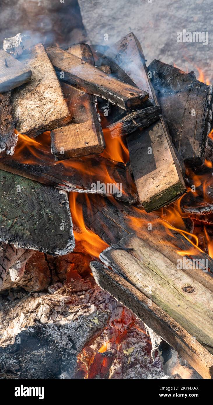 fire, closeup firewoods and logs burning in a fireplace or campfire ...