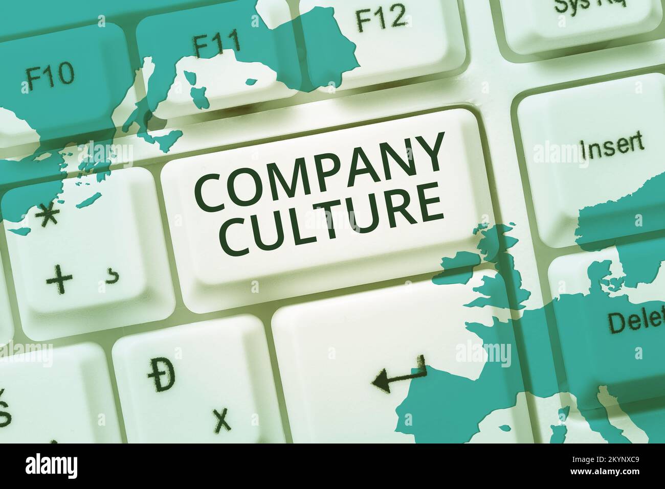 Text sign showing Company Culture. Word Written on The environment and ...