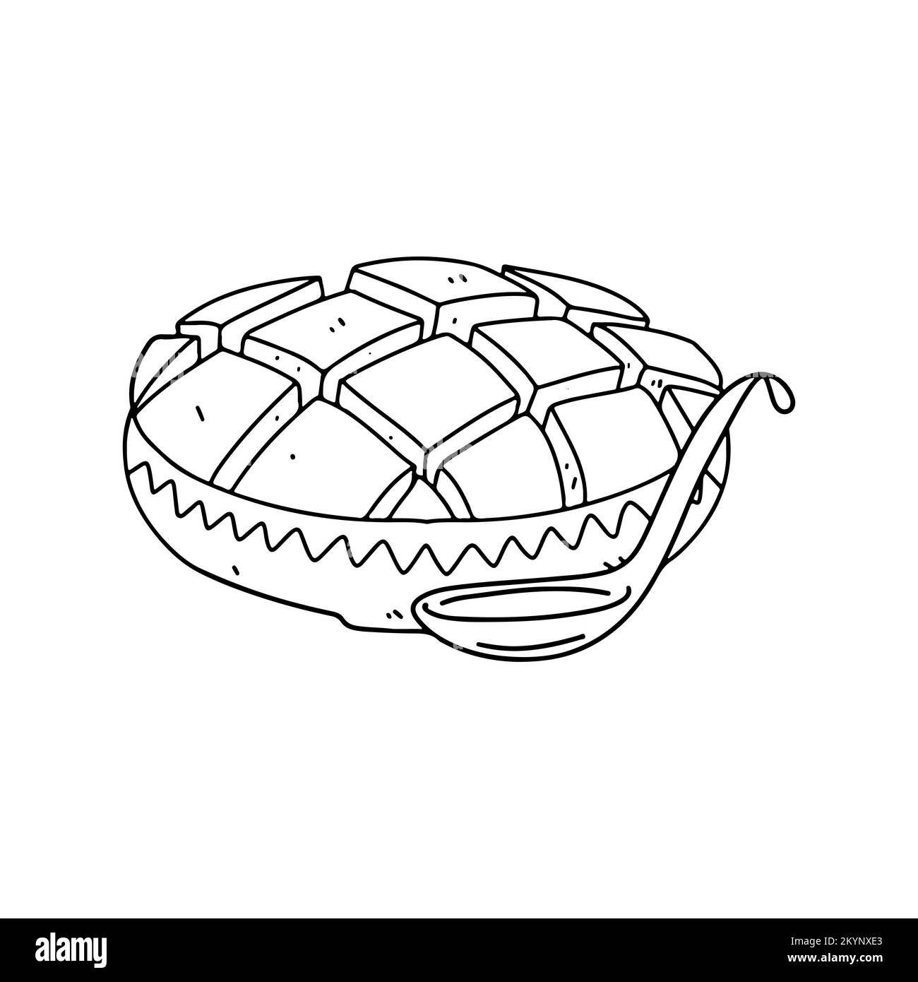 Fresh Mango in hand drawn doodle style. Fresh fruit in ceramic bowl ...