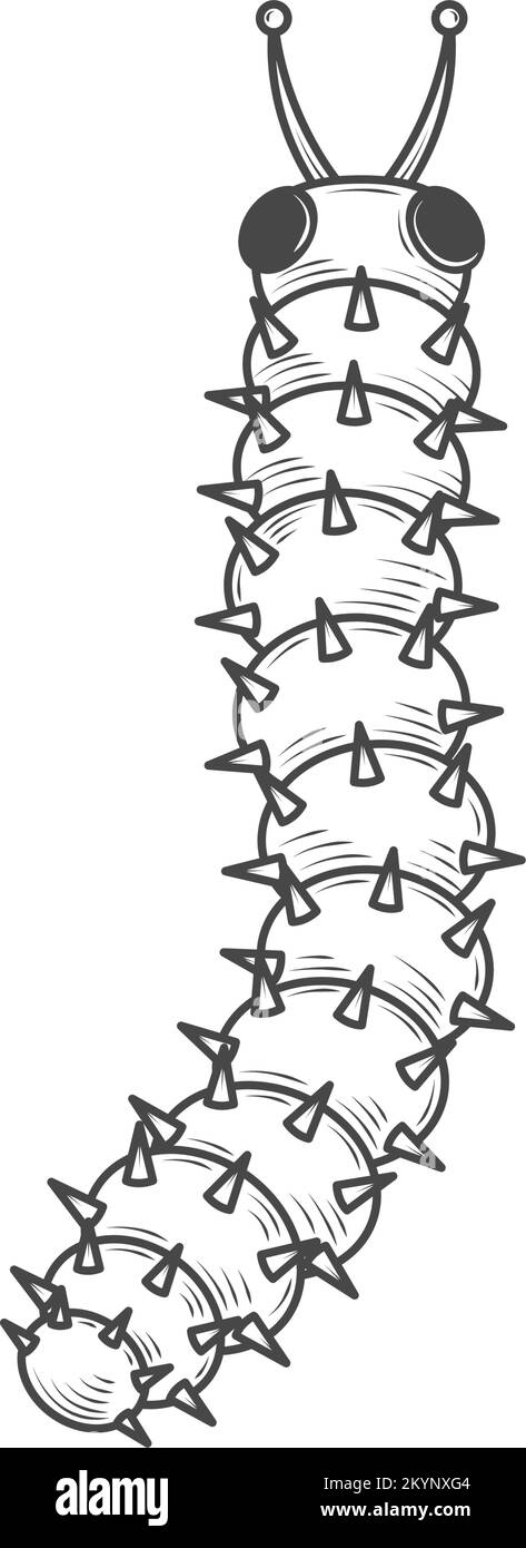 worm bug animal Stock Vector Image & Art - Alamy