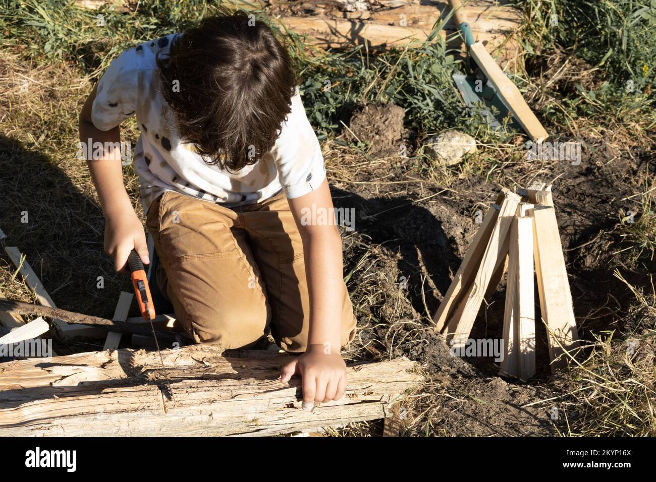 Boy sawing a tree for a fire Stock Photo - Alamy
