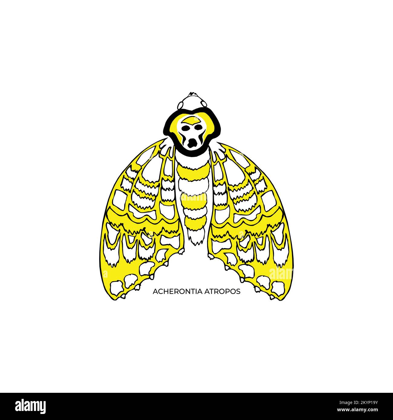 Actias luna Stock Vector Images - Alamy