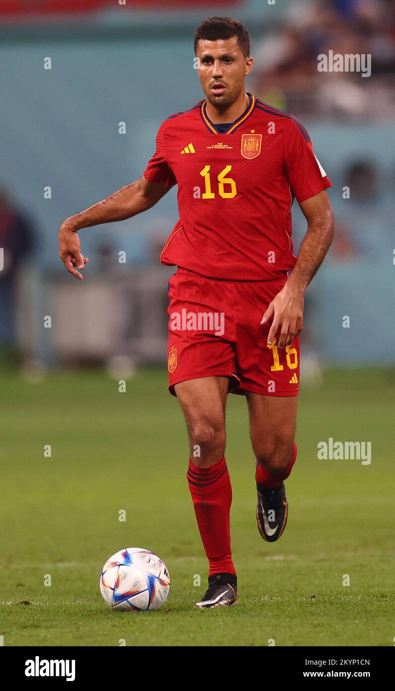 Doha, Qatar, 1st December 2022. Rodri of Spain during the FIFA World ...