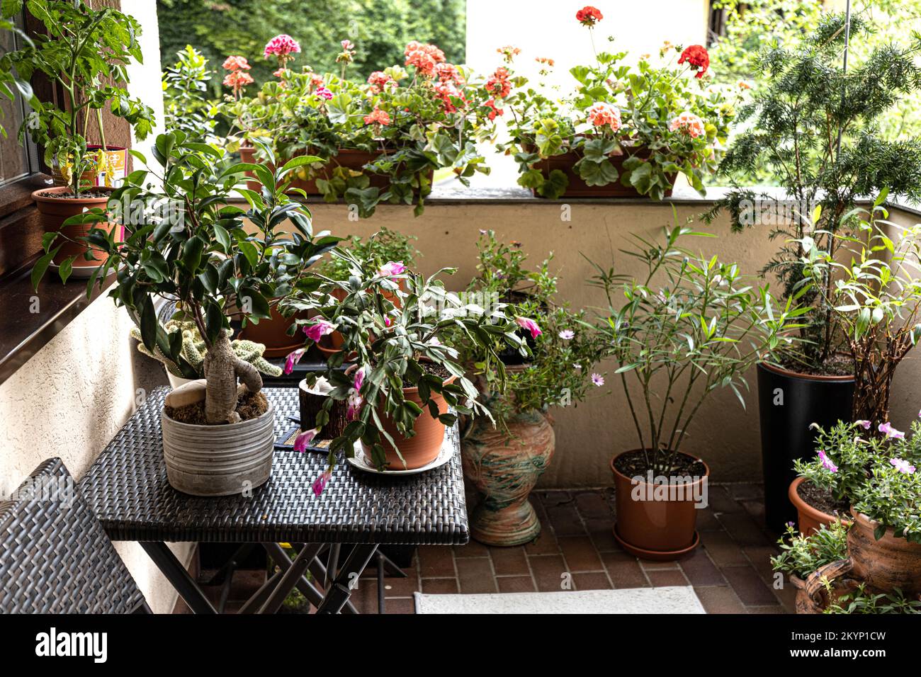 Well-kept balcony, lined with many pots of plants Stock Photo - Alamy