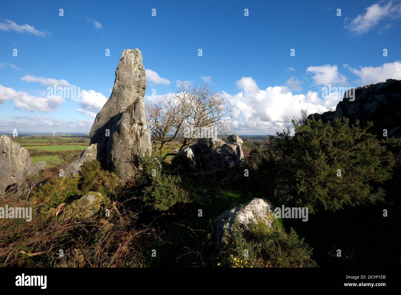 Roach rock hi-res stock photography and images - Alamy