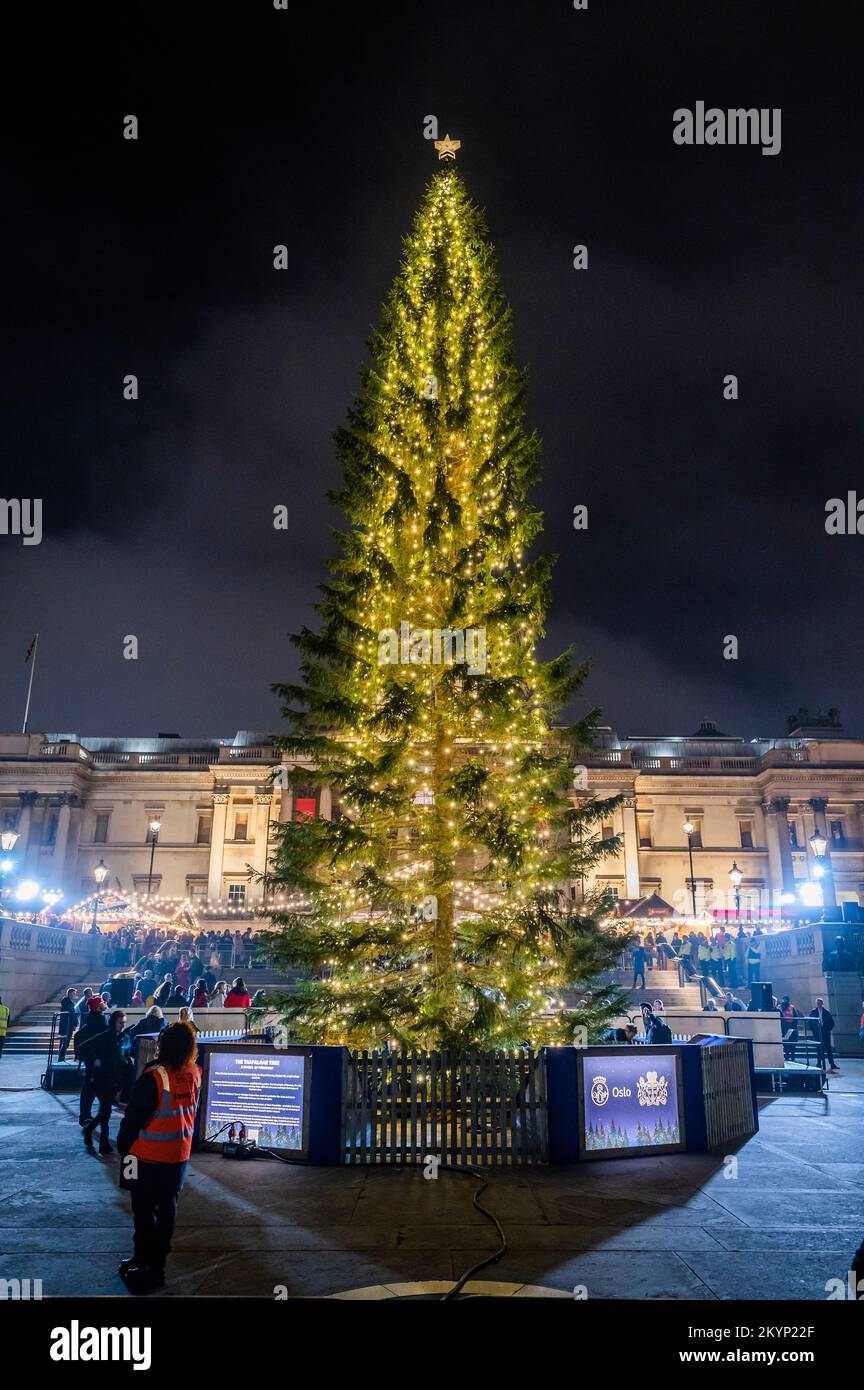 London, UK. 1st Dec, 2022. The Trafalgar Square Christmas tree is ...