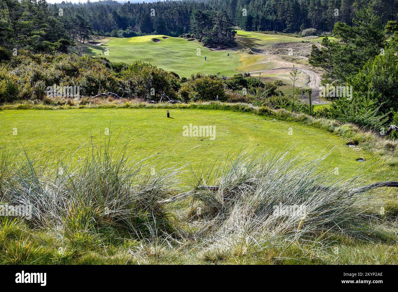 Bandon Dunes Golf Resort in Southern Oregon Stock Photo - Alamy