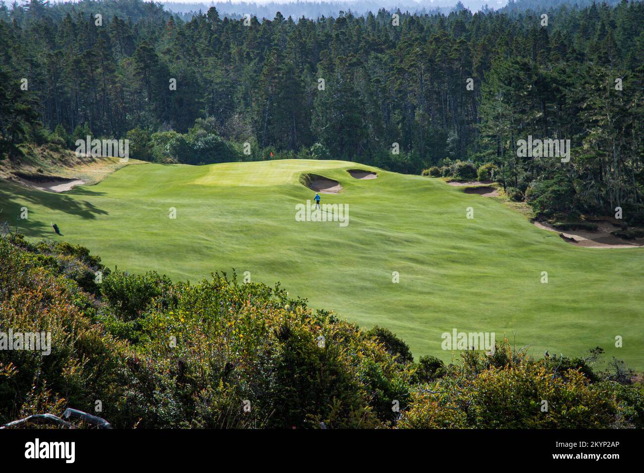 Bandon dunes golf resort hi-res stock photography and images - Alamy