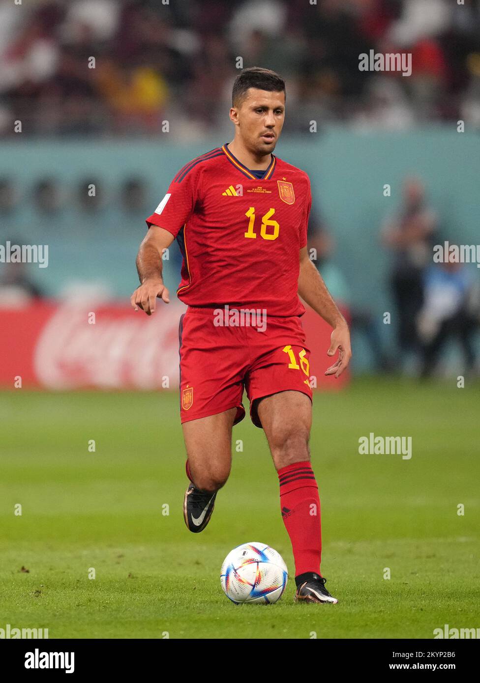 Rodri spain world cup 2022 qatar hi-res stock photography and images ...