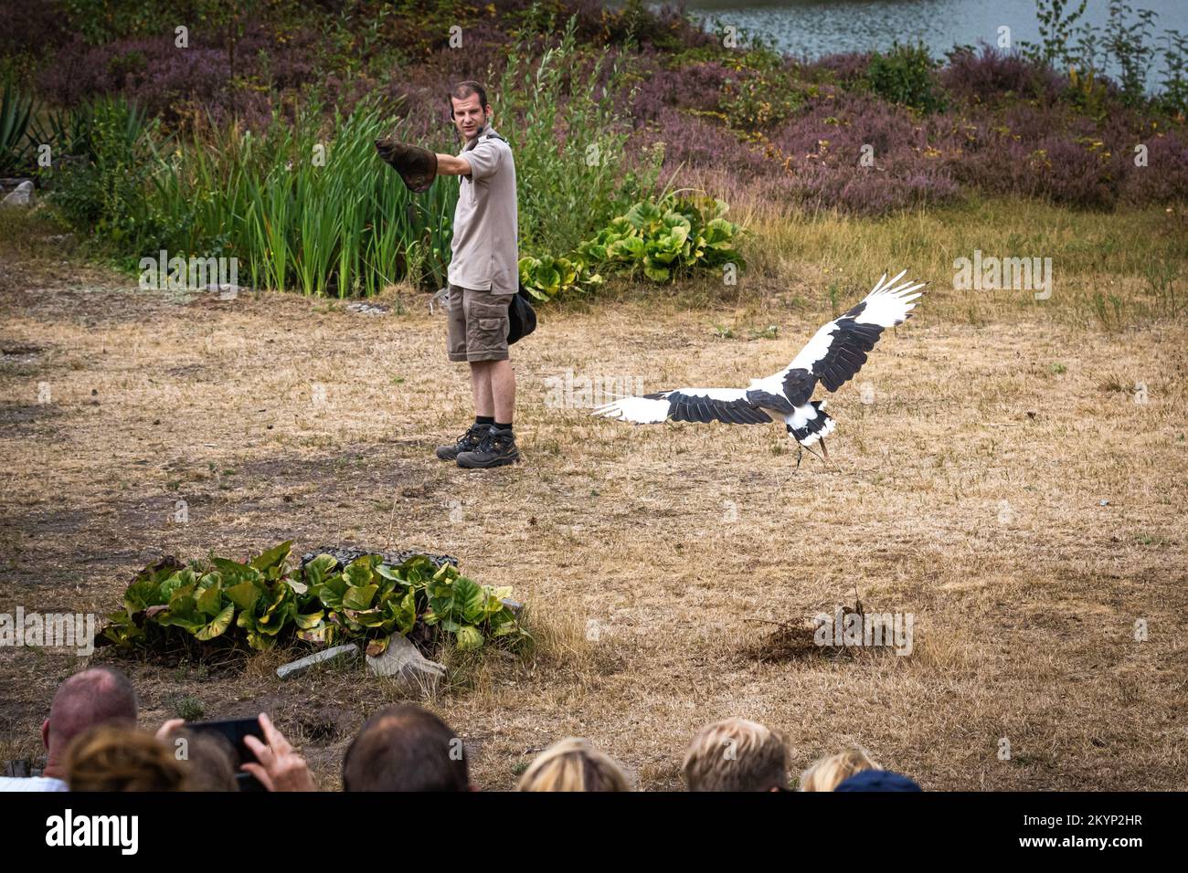 Cute hippo animal isolated icon hi-res stock photography and images - Alamy