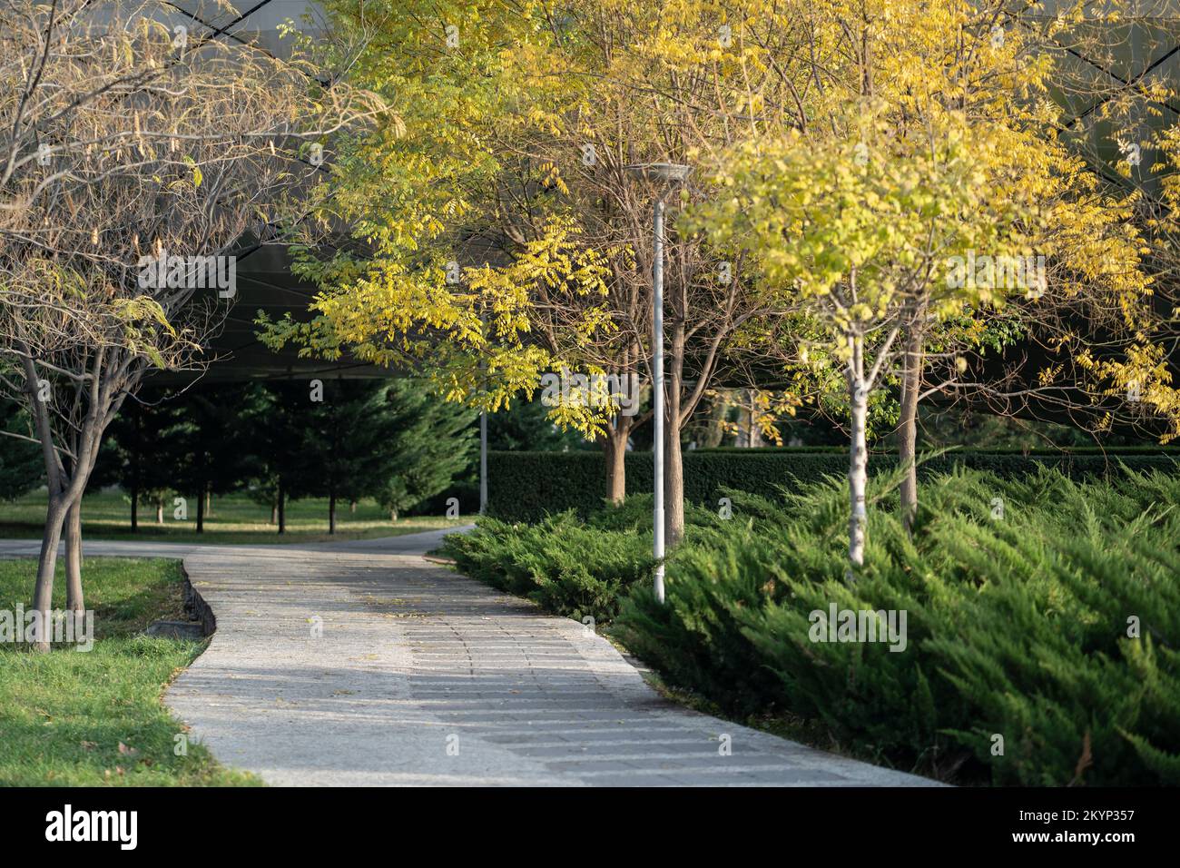 Autumn botanical park with wide path for walking and trees partially ...