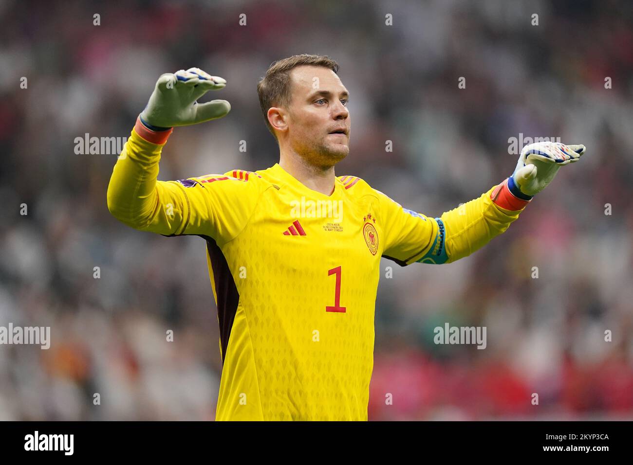 Germany goalkeeper Manuel Neuer during the FIFA World Cup Group E match ...