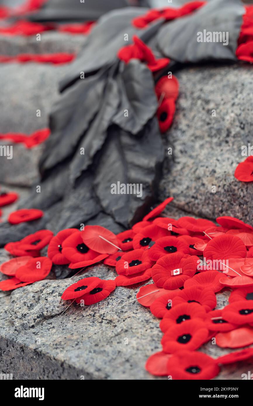 Remembrance Day red poppy flowers on Tomb of the Unknown Soldier in ...