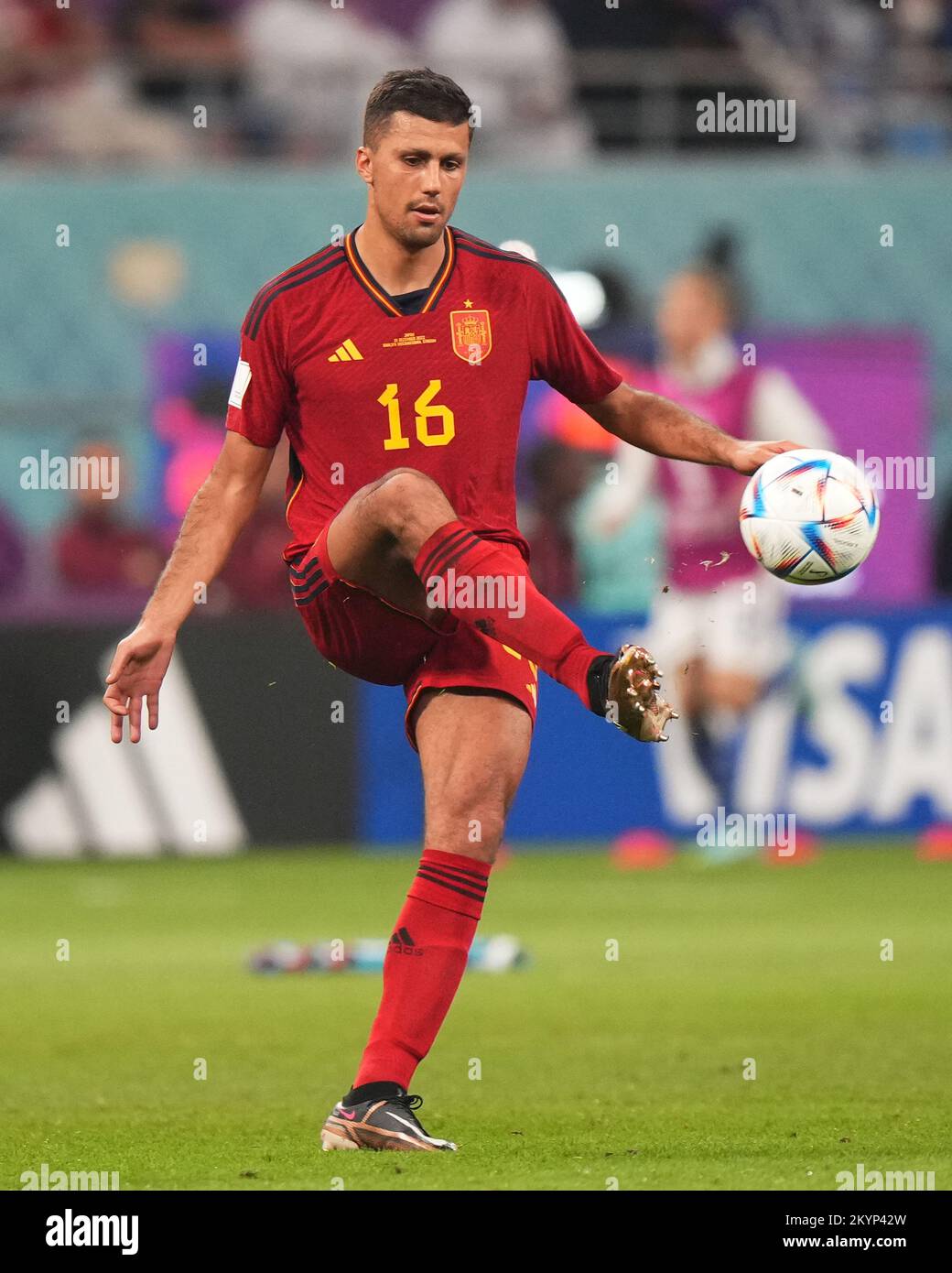 Doha, Qatar, Dec 01, 2022, Rodri Hernandez of Spain during the FIFA World Cup Qatar 2022 match ...