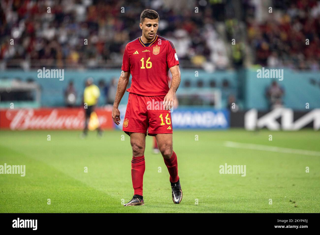 Rodri spain world cup 2022 qatar hi-res stock photography and images ...