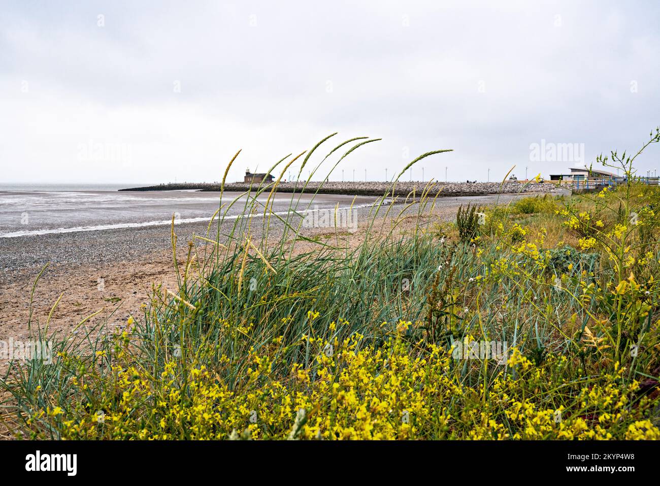 Coastal view hi-res stock photography and images - Alamy