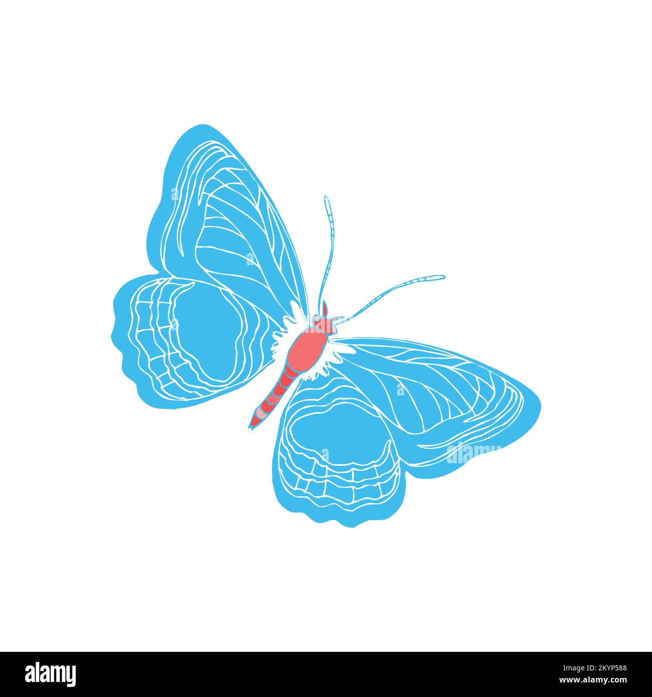 Diaethria Clymene butterfly vector design on white background Stock ...