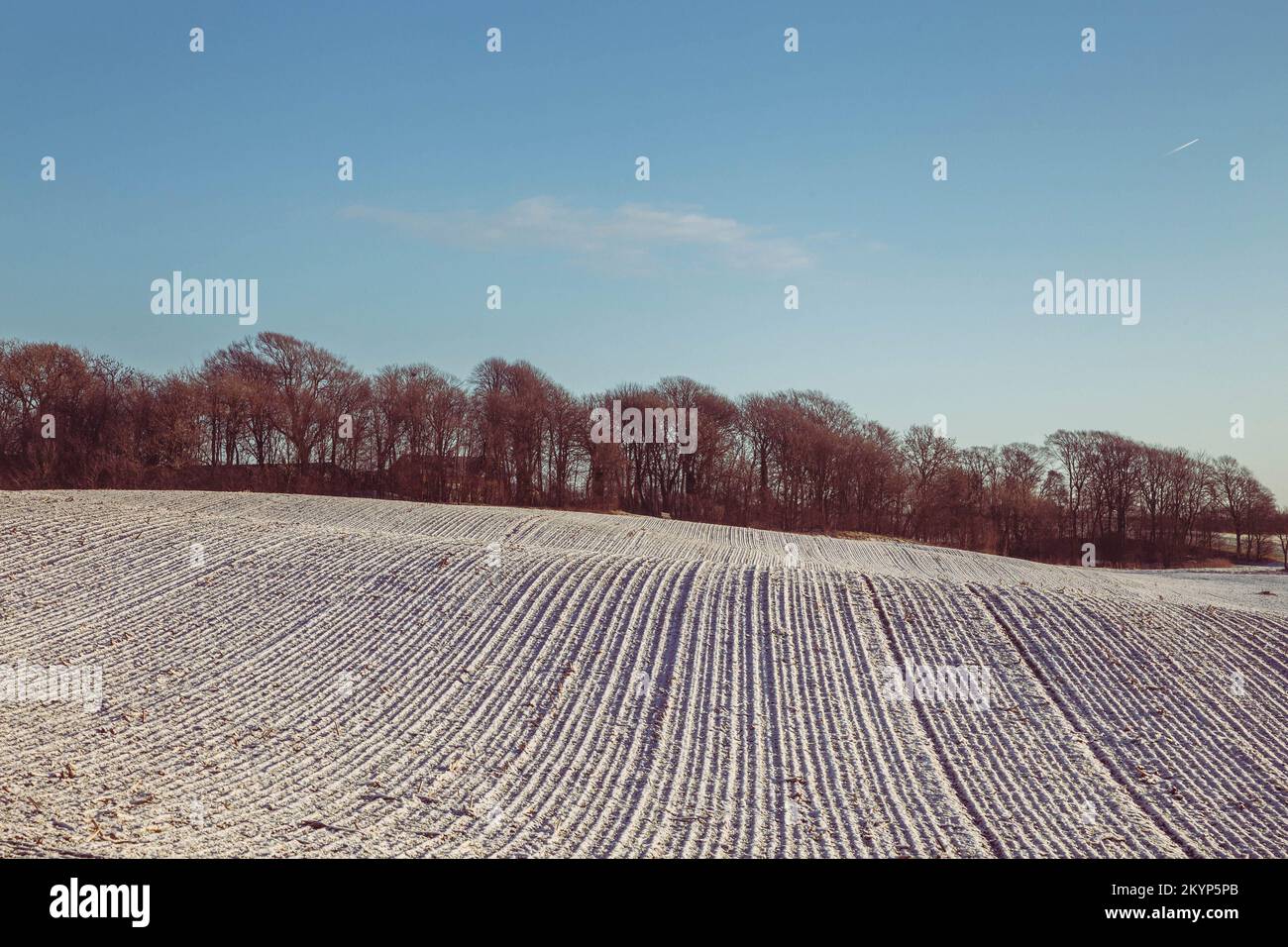 Jutland central hi-res stock photography and images - Alamy