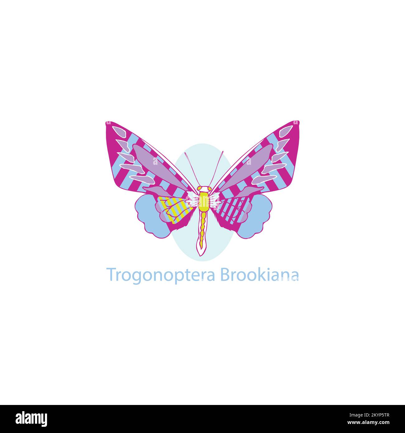Monarch colours Stock Vector Images - Alamy