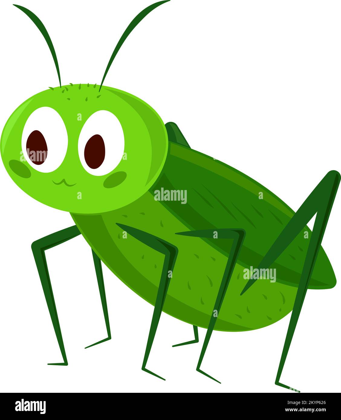 cricket insect cartoon Stock Vector Image & Art - Alamy