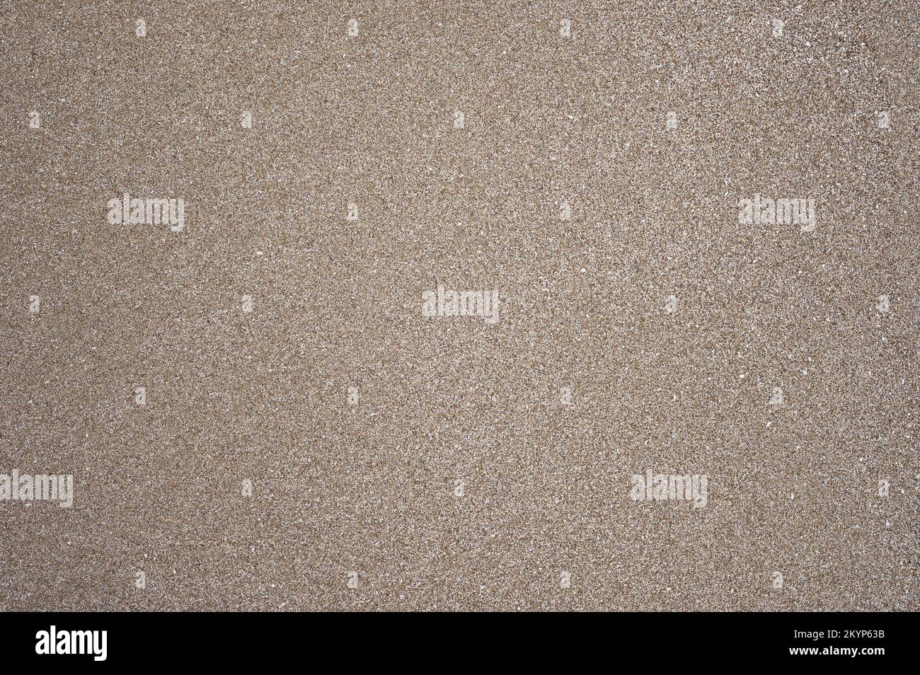 Wet sand texture background macro close up view Stock Photo - Alamy