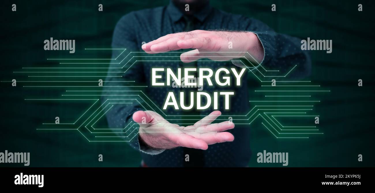 Conceptual display Energy Audit. Business concept assessment of the ... Conceptual display Energy Audit. Business concept assessment of the ...