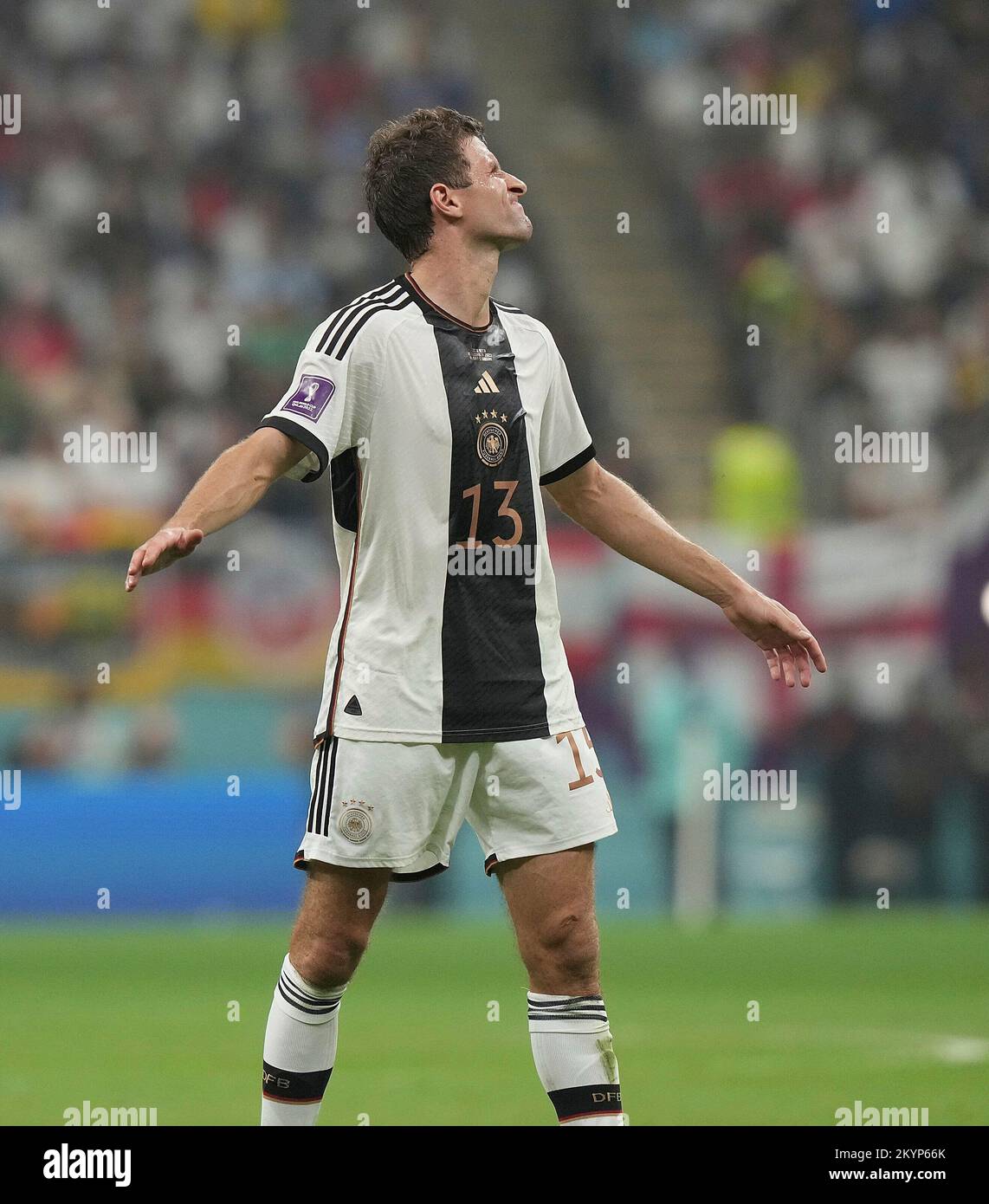 December 1st, 2022, Al Bayt Stadium, Doha, QAT, World Cup FIFA 2022 ...