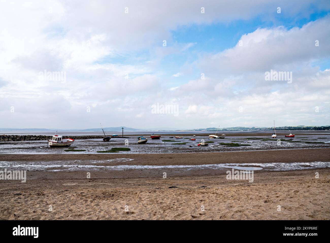 Fish of morecambe bay hi-res stock photography and images - Alamy