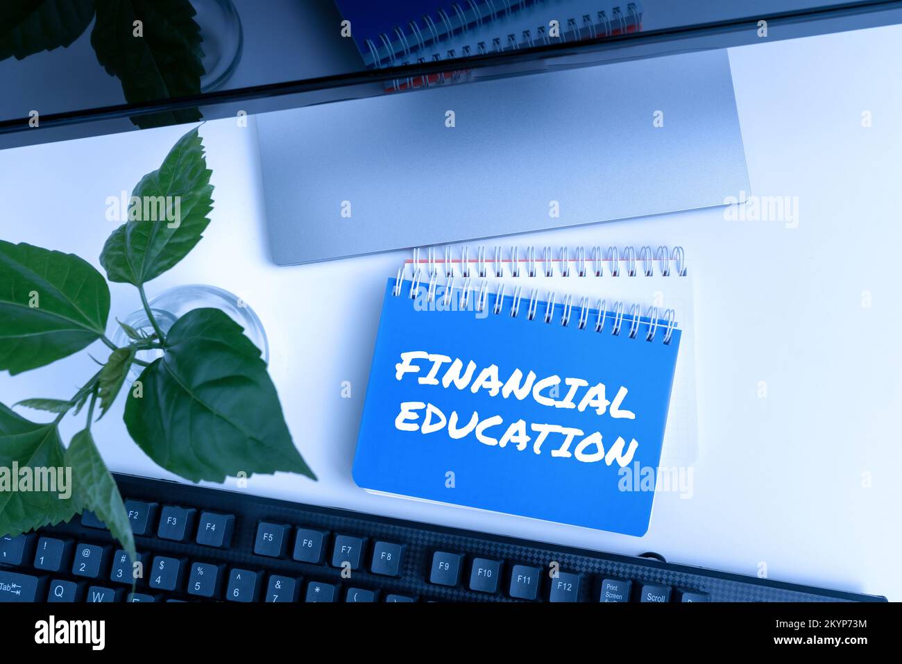 Writing displaying text Financial Education. Word Written on ...