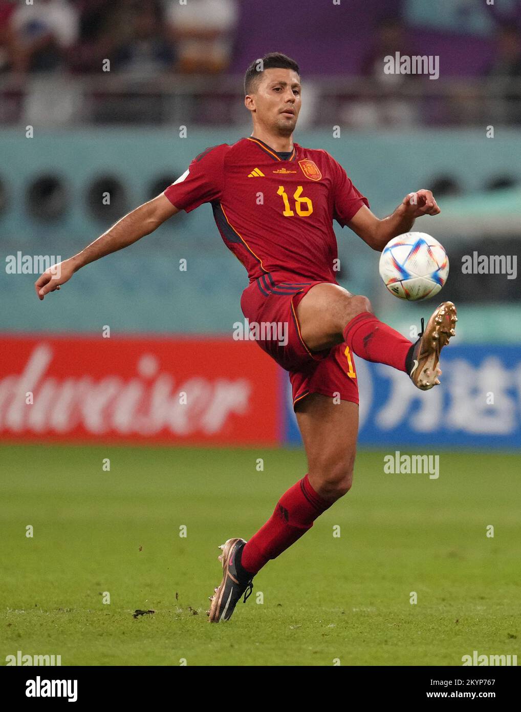 Spain's Rodri during the FIFA World Cup Group E match at the Khalifa ...
